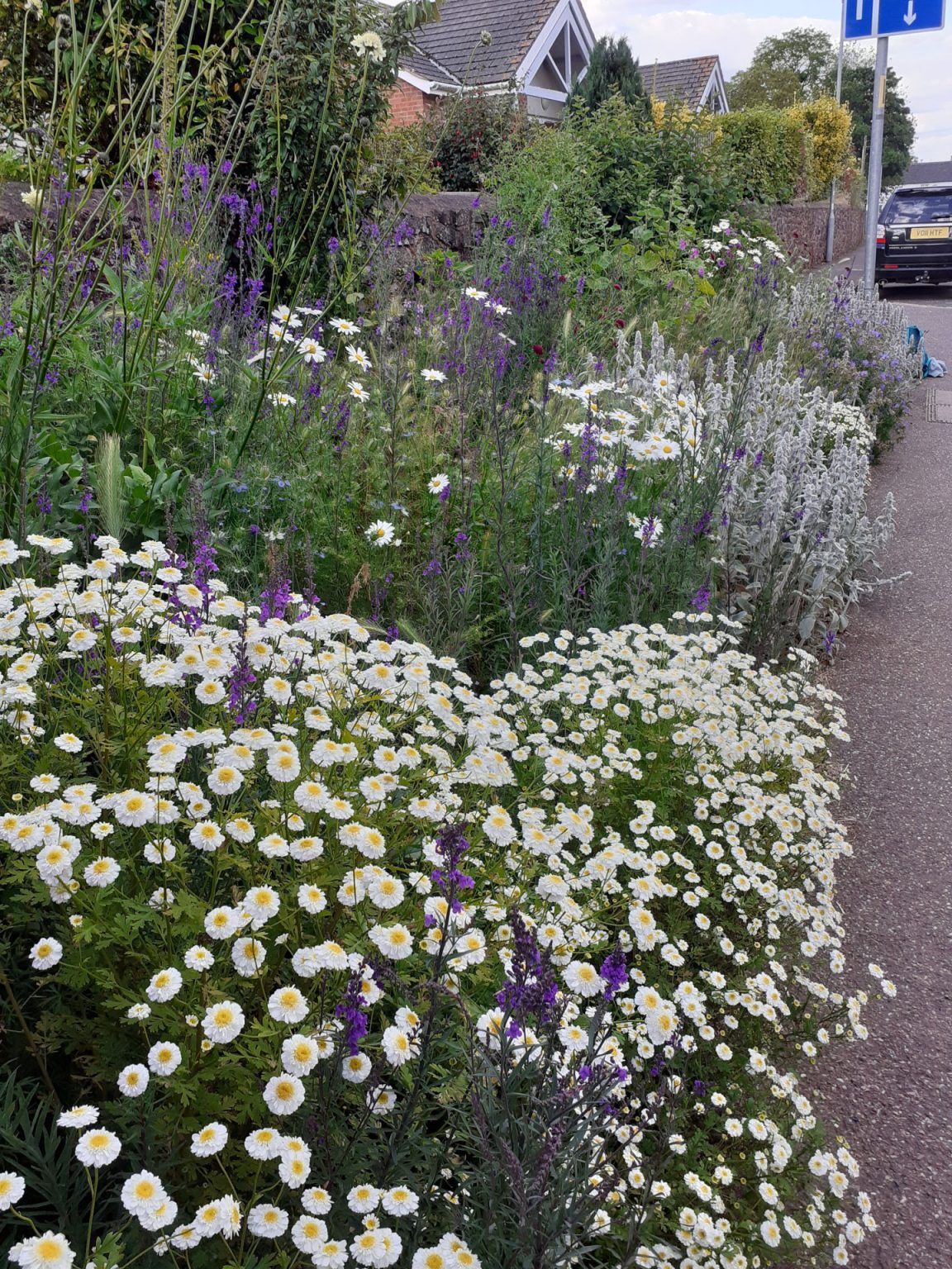 Pollinator Project - Sustainable Crediton